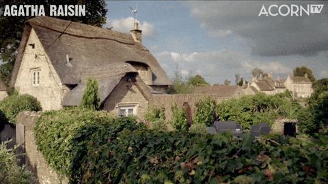Britishtv GIFs - Get the best GIF on GIPHY