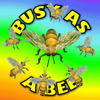 Im Busy Honey Bee GIF - Find & Share on GIPHY