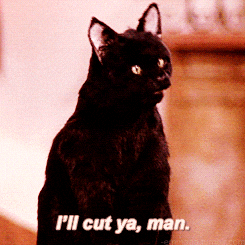 The Black Cat Of Ill Omen GIFs - Get the best GIF on GIPHY