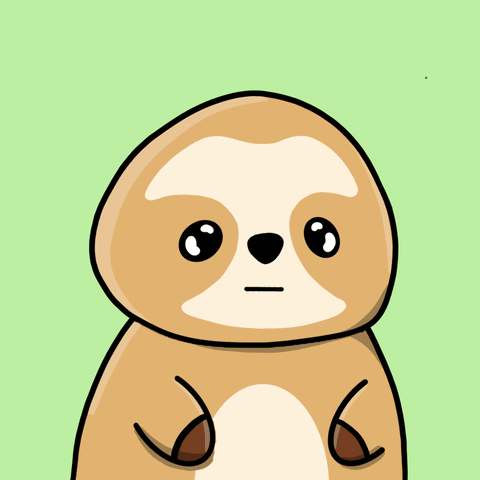 Lucky-sloth GIFs - Get the best GIF on GIPHY