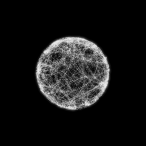 Populate Black And White GIF by Mathew Lucas - Find & Share on GIPHY