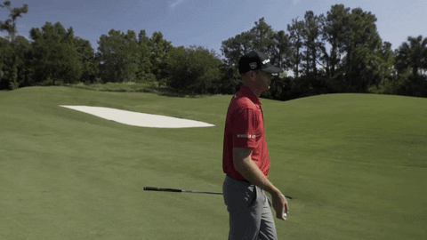 Sport Golfing GIF by Wilson Golf - Find & Share on GIPHY