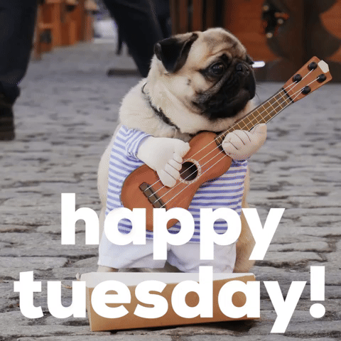 Happy Tuesday Dog Images