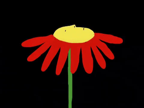 Red Petals GIFs - Get the best GIF on GIPHY