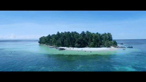 Utah Beach GIFs - Get the best GIF on GIPHY