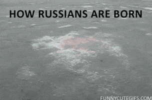 Russian GIFs - Find & Share on GIPHY