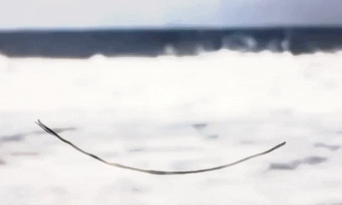 See The Sea GIFs - Get the best GIF on GIPHY