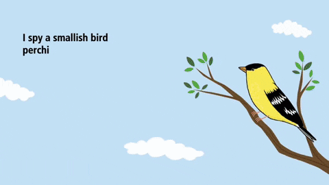 Scribble Kids Books GIFs - Get the best GIF on GIPHY