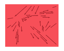 Harvard GSD Fall 2022 GIFs on GIPHY - Be Animated