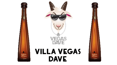Vegas Dave GIFs on GIPHY - Be Animated
