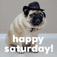 Weekend-feel GIFs - Get the best GIF on GIPHY