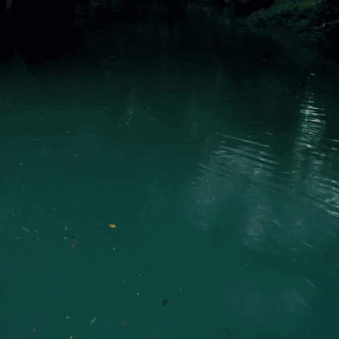 Bamboo Raft GIFs - Get the best GIF on GIPHY