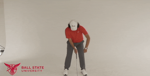 Ready Steady Wiggle GIFs - Get the best GIF on GIPHY