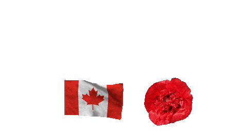 Veterans Day, Remembrance Day Stickers GIFs on GIPHY - Be Animated