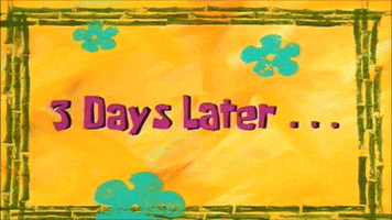 Timecard Clips - Find & Share on GIPHY