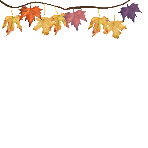Fall Leaves Transparent Gif