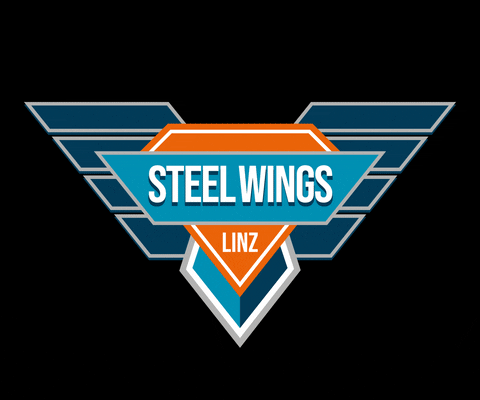 Steel-wing GIFs - Get the best GIF on GIPHY