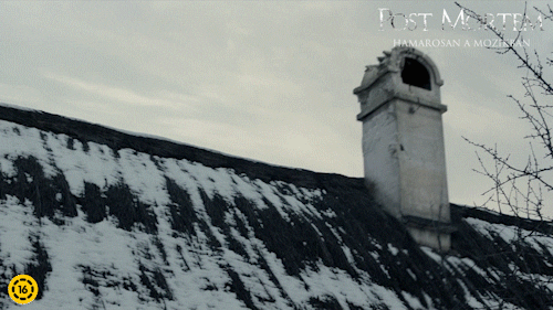 Post Mortem Film GIF by InterCom - Find & Share on GIPHY
