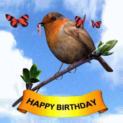 Happy-birthday-bird GIFs - Get the best GIF on GIPHY