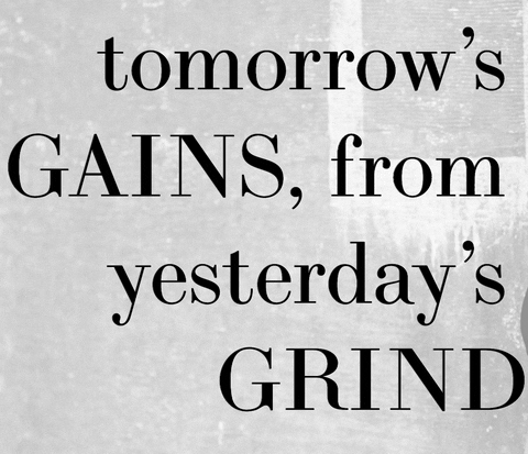 GAINS+GRINDS GIF - Find & Share on GIPHY