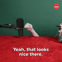 Holiday-asmr-puppet-asmr-with-todd-socket GIFs - Get the best GIF on GIPHY