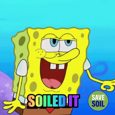 Happy Sponge Bob GIF by Save Soil - Find & Share on GIPHY