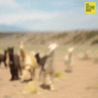 Wildebeest Stampede Gif