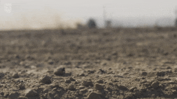 Global Warming Work GIF by NRDC - Find & Share on GIPHY