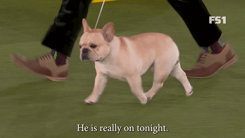 Moving-around GIFs - Get the best GIF on GIPHY