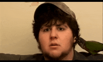 No Internet Connection GIFs - Find & Share on GIPHY