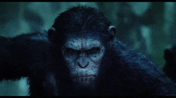 Planet Of The Apes GIFs - Find & Share on GIPHY