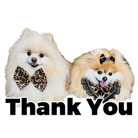 Dog Thank You Gif