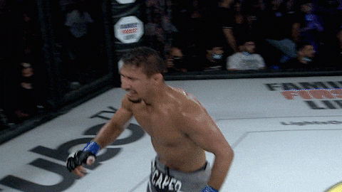 Jump Off The Wall GIFs - Get the best GIF on GIPHY