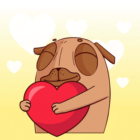 Fud the Pug GIFs on GIPHY - Be Animated
