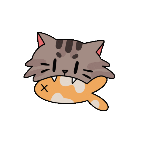 Frustrated Cat Gif