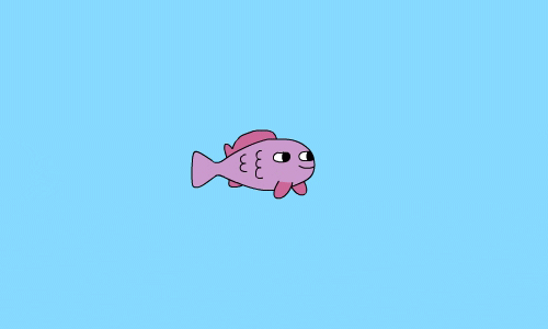 Cute Puffer Fish Gif
