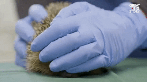 Great Wide Open GIFs - Get the best GIF on GIPHY