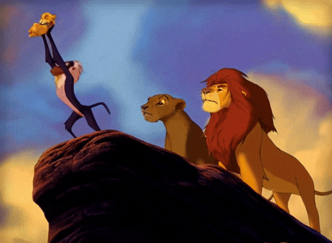 Funny Lion King Gifs