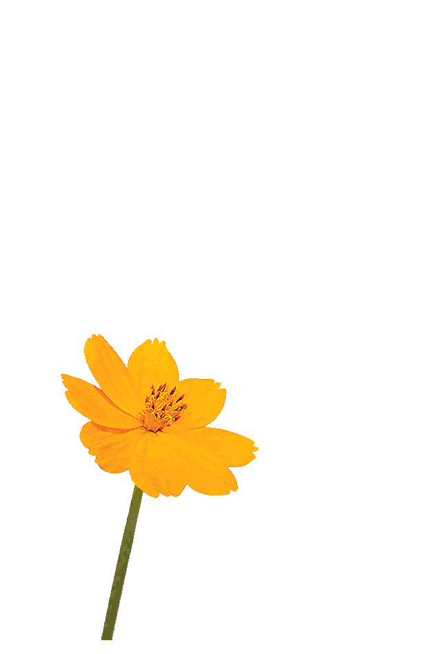 Flower Grow Sticker by Apply for iOS & Android | GIPHY