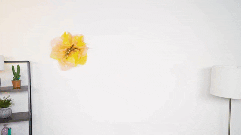 Party Wall GIFs - Get the best GIF on GIPHY