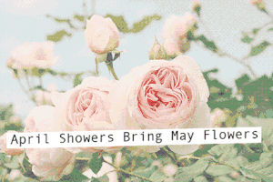 Happy April GIFs - Find & Share on GIPHY