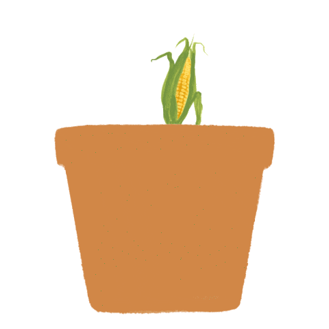 Riverford Organic Farmers GIFs on GIPHY - Be Animated