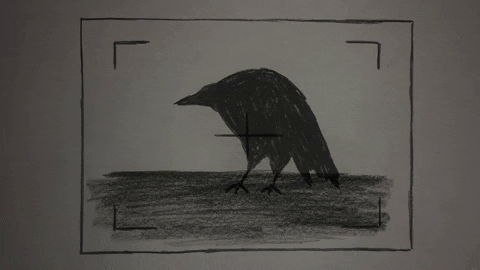 Moze Maaike Mertens GIFs on GIPHY - Be Animated