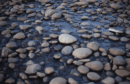 Lincoln City GIFs - Get the best GIF on GIPHY