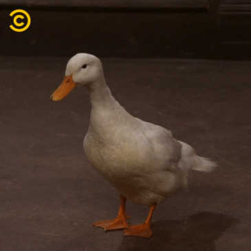 Comedy Central UK GIFs on GIPHY - Be Animated