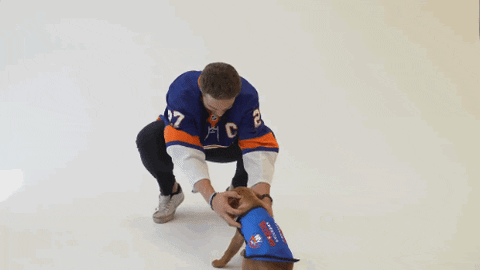 Ice Hockey Dog GIF by NHL - Find & Share on GIPHY