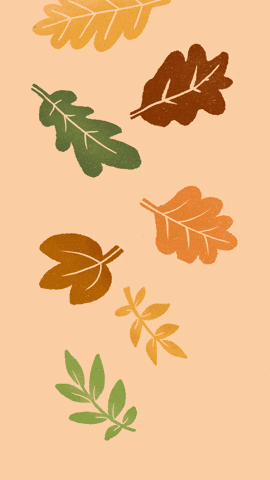 Orange Fall GIFs - Get the best GIF on GIPHY