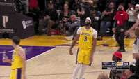Anthony Davis Block Gif