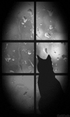 Waiting-in-the-dark GIFs - Get the best GIF on GIPHY