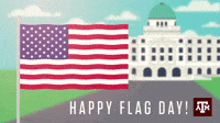 Lmanburg Flag Burning Gif